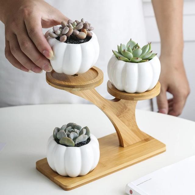Mia - Creative Ceramic Succulent Pot– Silky decor