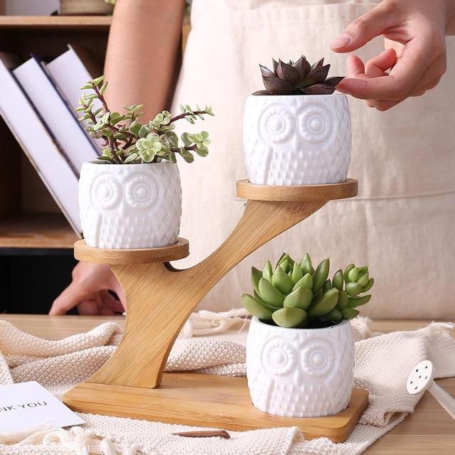 Mia - Creative Ceramic Succulent Pot– Silky decor