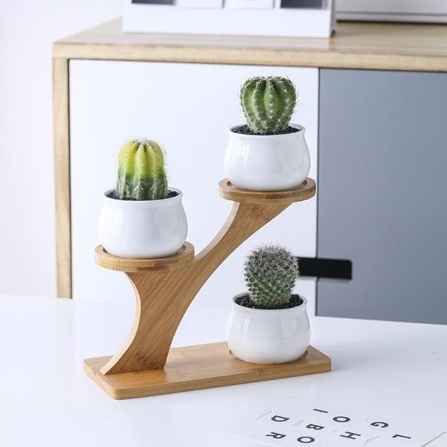 Mia - Creative Ceramic Succulent Pot– Silky decor