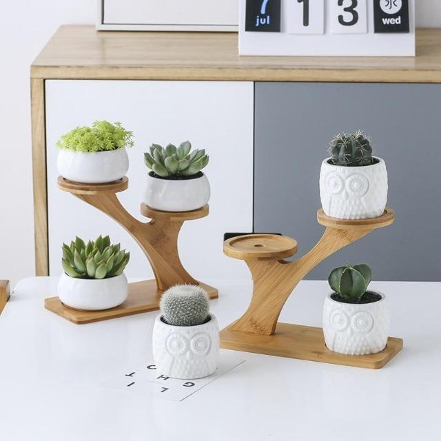 Mia - Creative Ceramic Succulent Pot– Silky decor