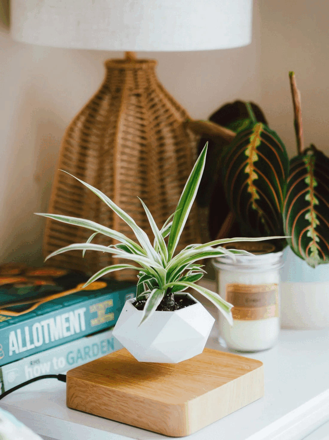 LEVITATING PLANT POT– Silky decor