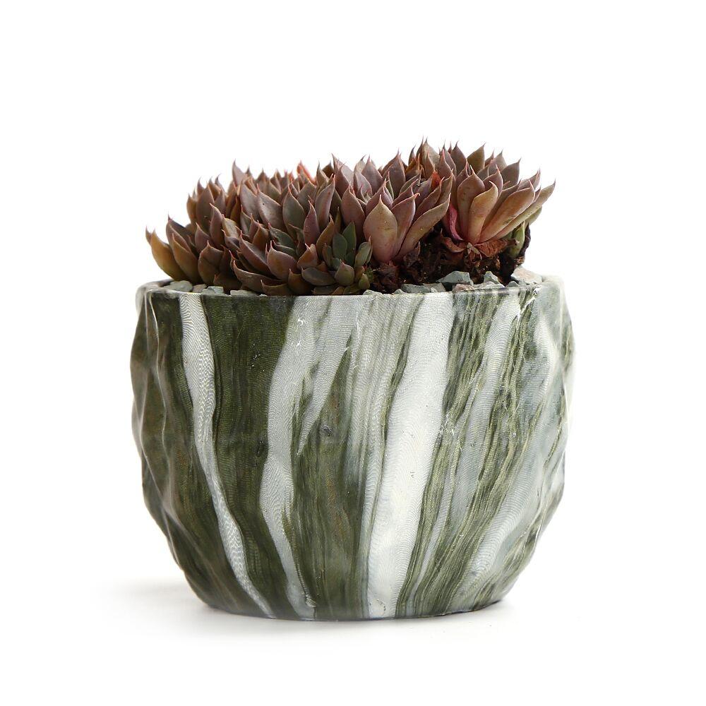 Deidra - Modern Bonsai Marbling Flower Pot (4 pcs)– Silky decor