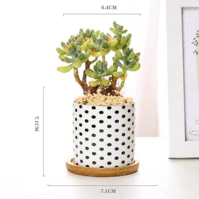 Aiva - Nordic Geometric Succulent Planter– Silky decor