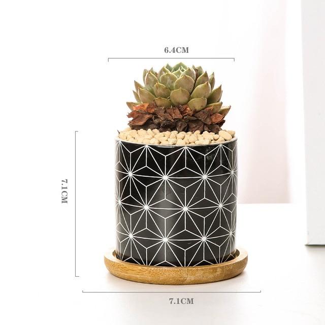 Aiva - Nordic Geometric Succulent Planter– Silky decor